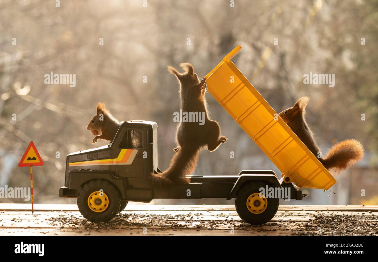 Lorry funny hi-res stock photography and images - Alamy