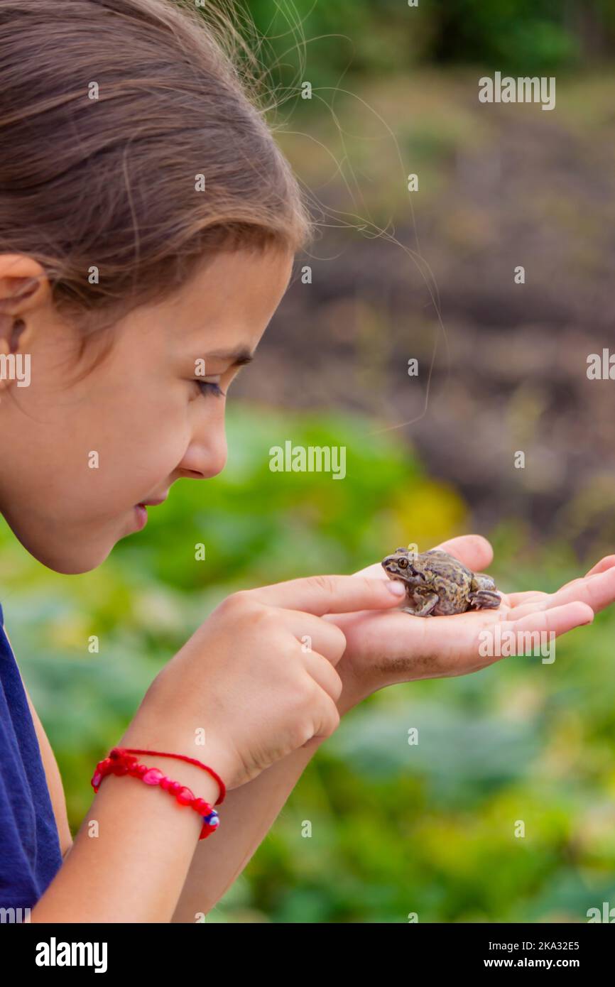 girl hold a toad in the palm of her hand. Selective focus. Nature Stock ...