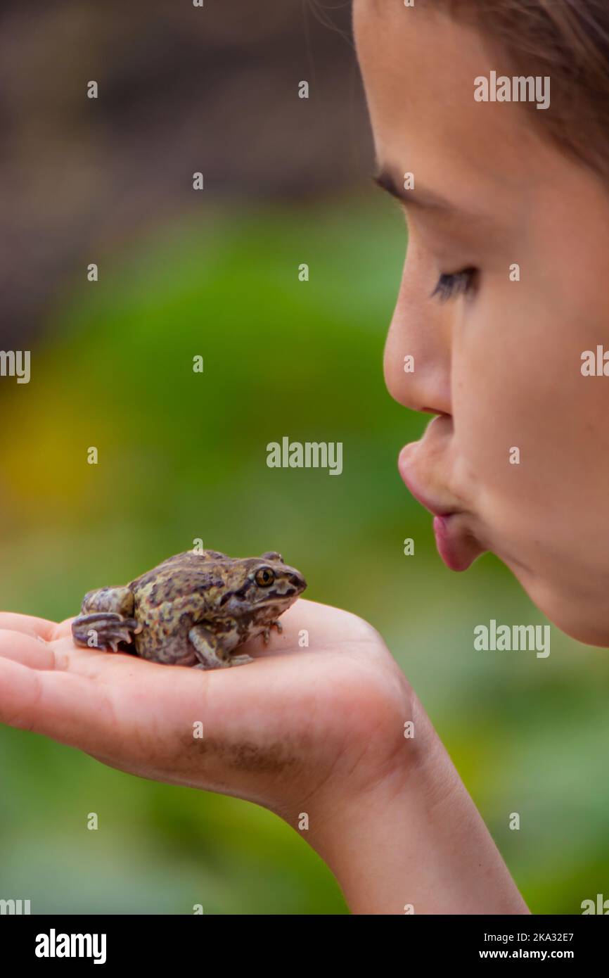 How to hold a toad hi-res stock photography and images - Alamy
