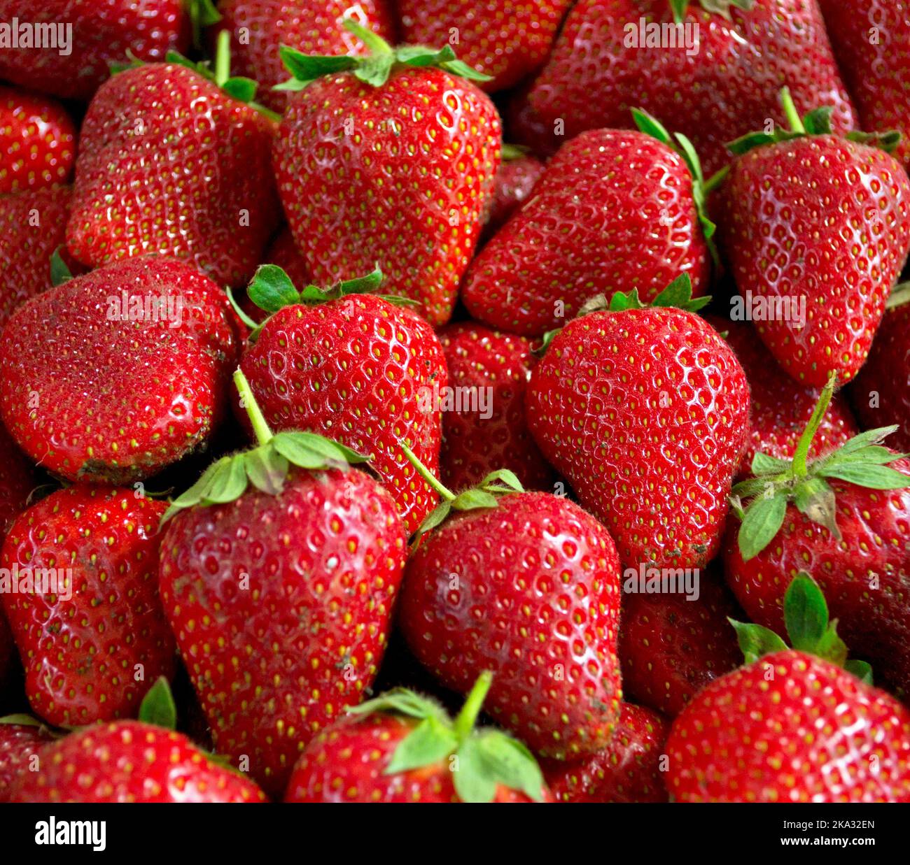 A closeup of a pile of ripe red strawberries on sale at the market ...
