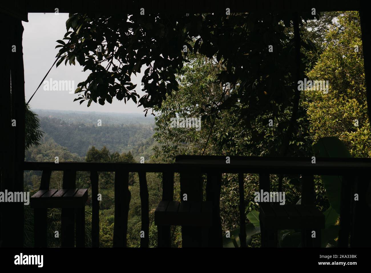 Bali cafe surrounded by greenery, organic cafe, tropical warung, balcony overlooking tropical ...