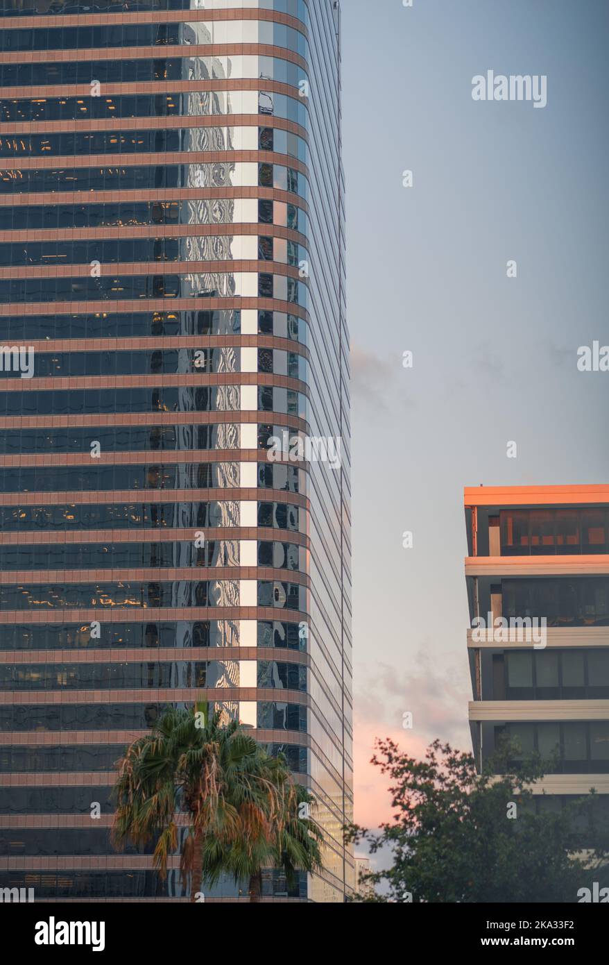 A vertical shot of a big skyscraper in a sunset time and a palm tree ...