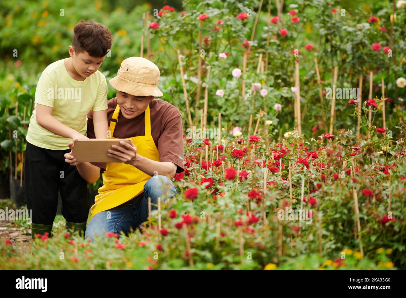 Father and son using application on tablet computer when reading how to ...