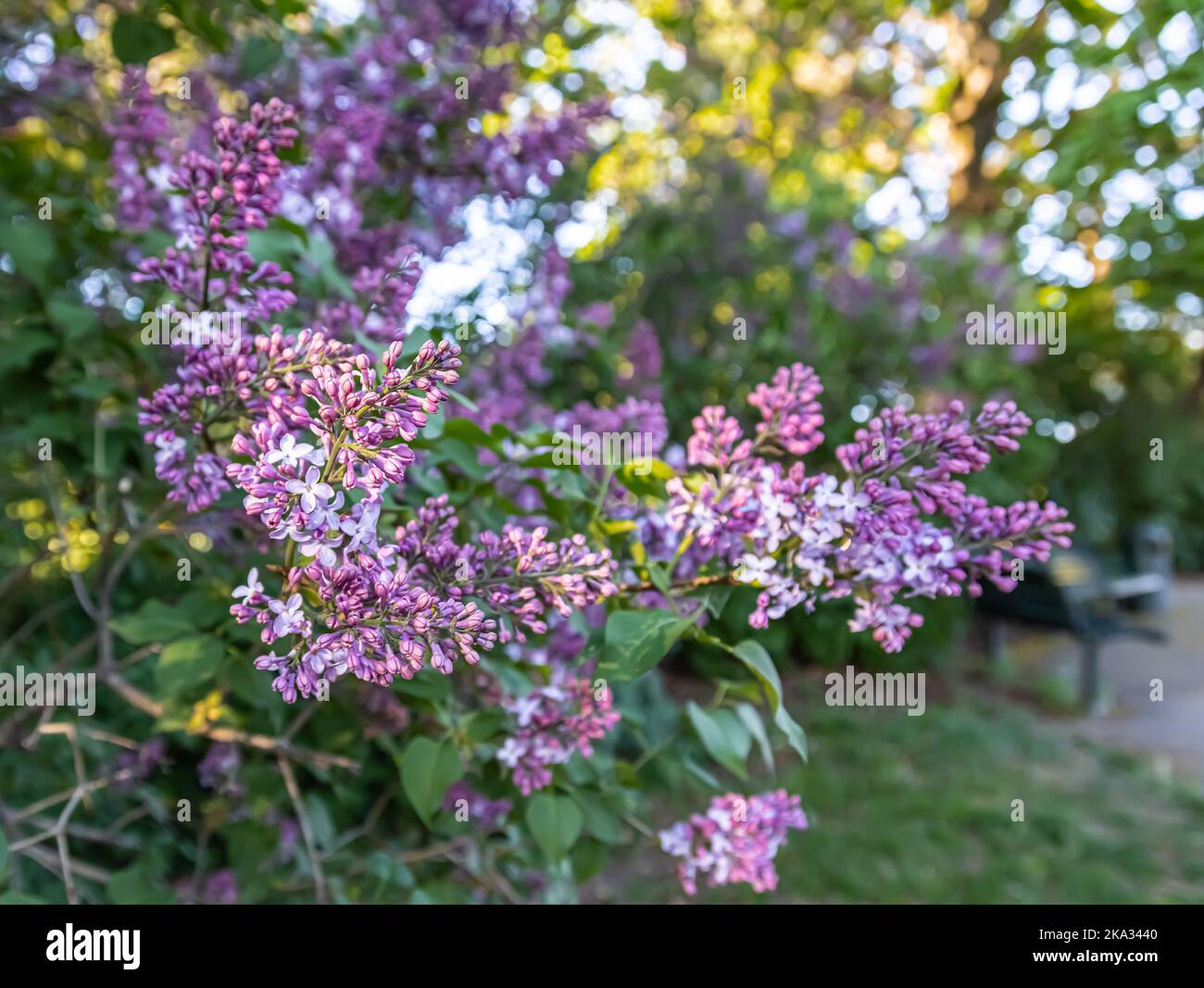 Kampen norway hi-res stock photography and images - Alamy