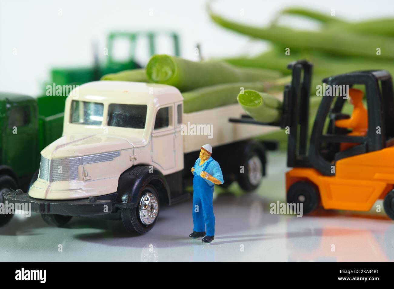truck driver stands in front of his truck while loading with bush beans ...