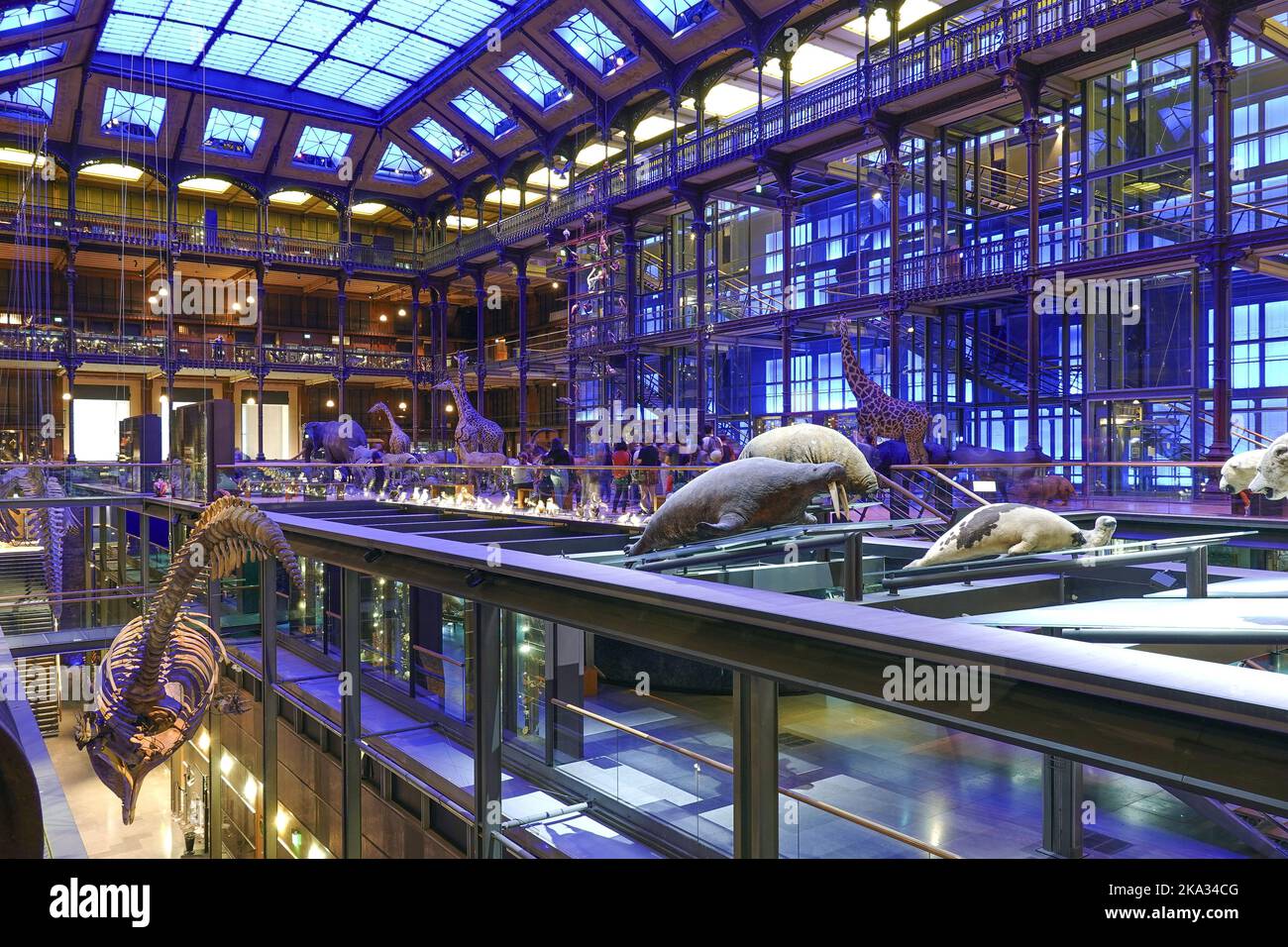 France, Paris, Museum National d'Histoire Naturelle - Jardin des ...