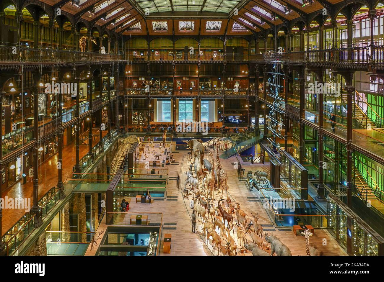 France, Paris, Museum National d'Histoire Naturelle - Jardin des ...