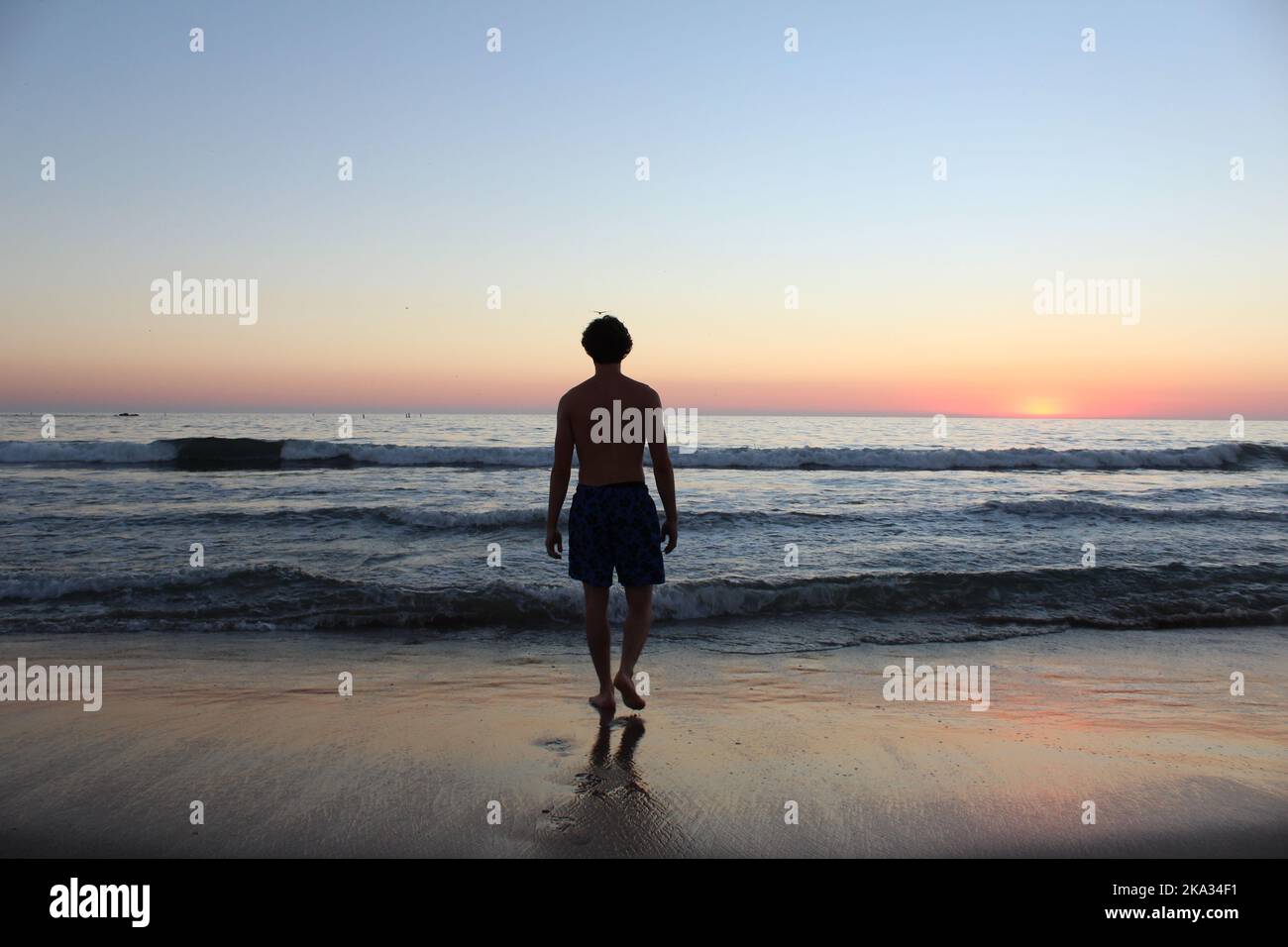 A back view of a male on a beach during sunset in Santa Monica ...