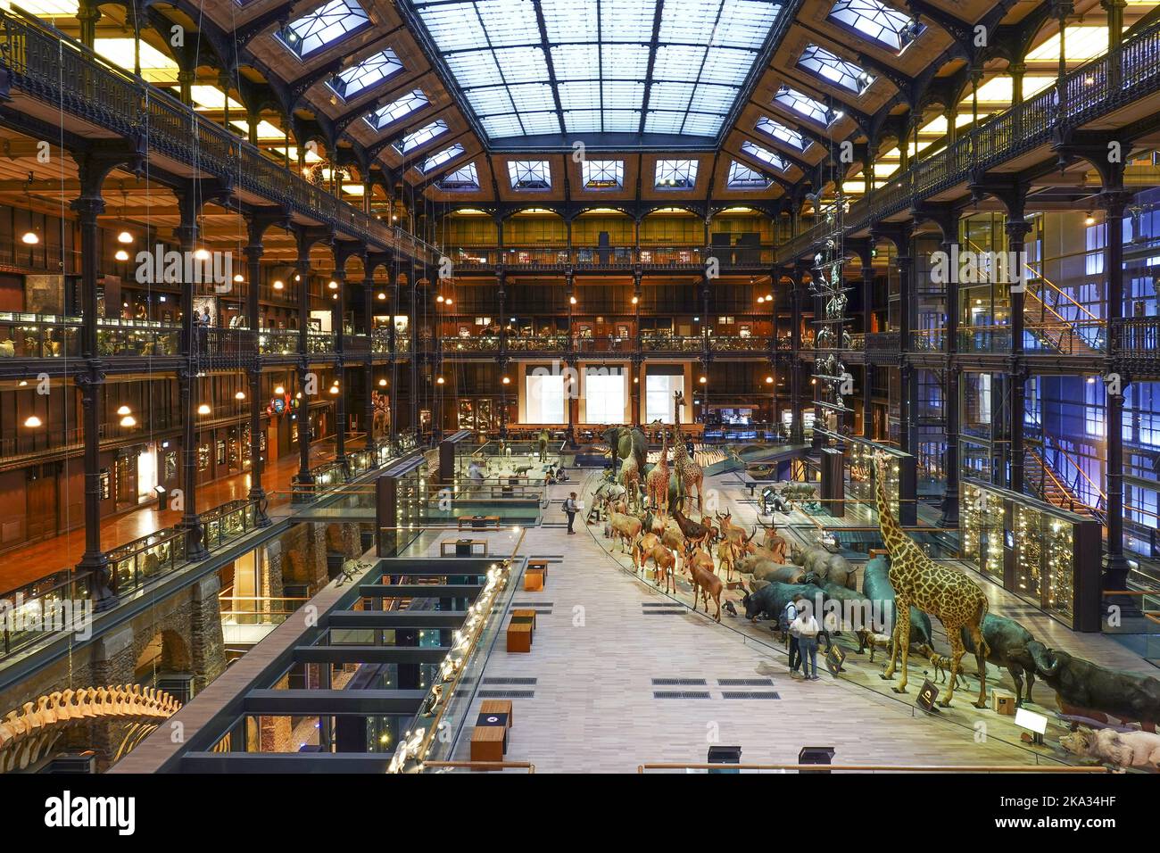 France, Paris, Museum National d'Histoire Naturelle - Jardin des ...