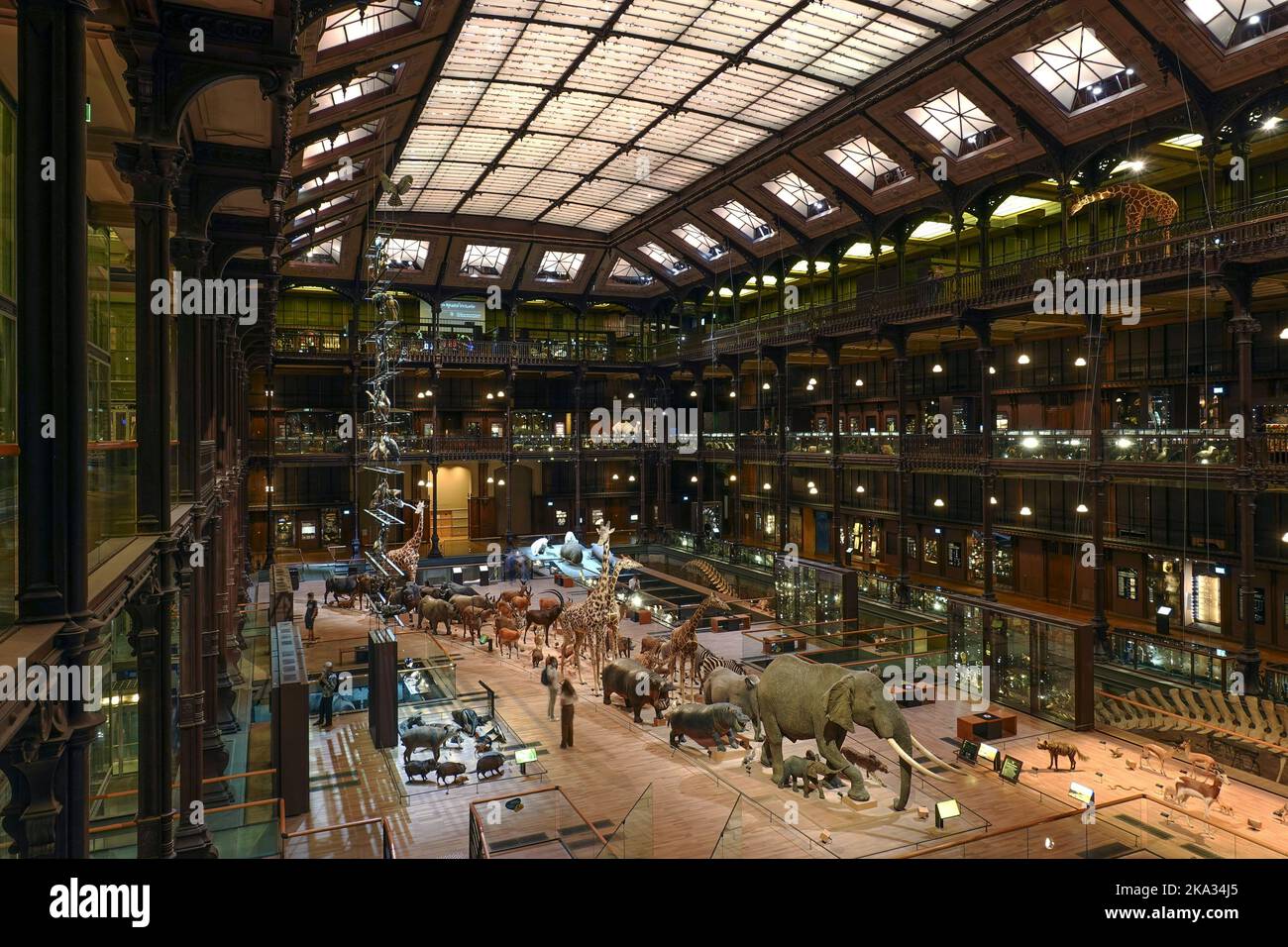 France, Paris, Museum National d'Histoire Naturelle - Jardin des ...