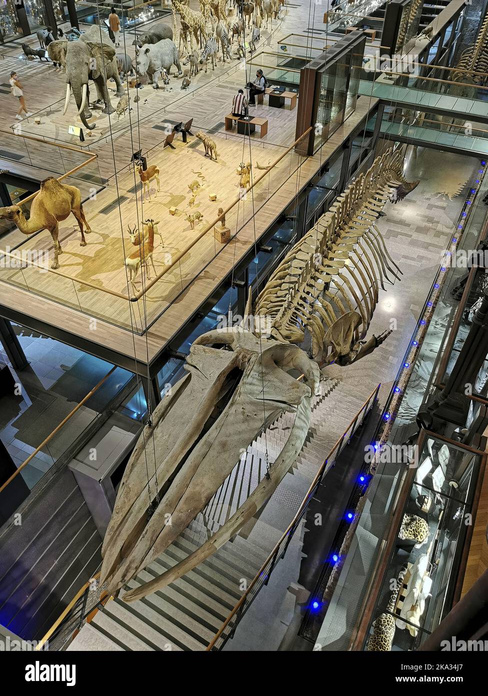 France, Paris, Museum National d'Histoire Naturelle - Jardin des ...