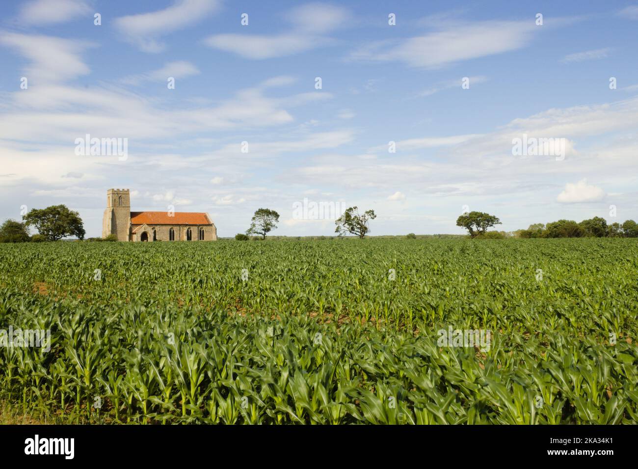 A beautiful view of a green field with a house in the background Stock ...