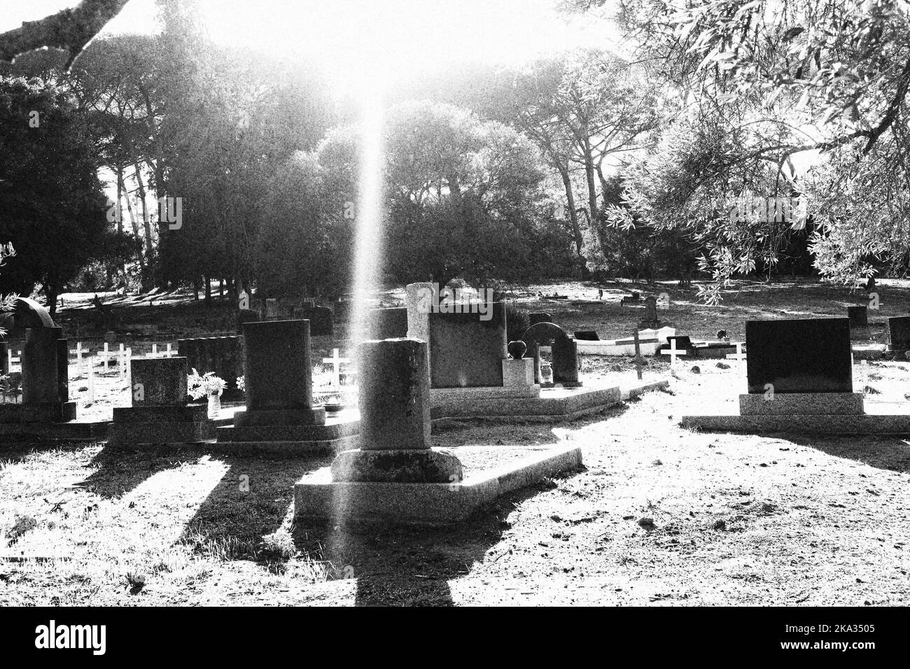 A grayscale shot of gravestone at a cemetery with bright sunlight Stock ...