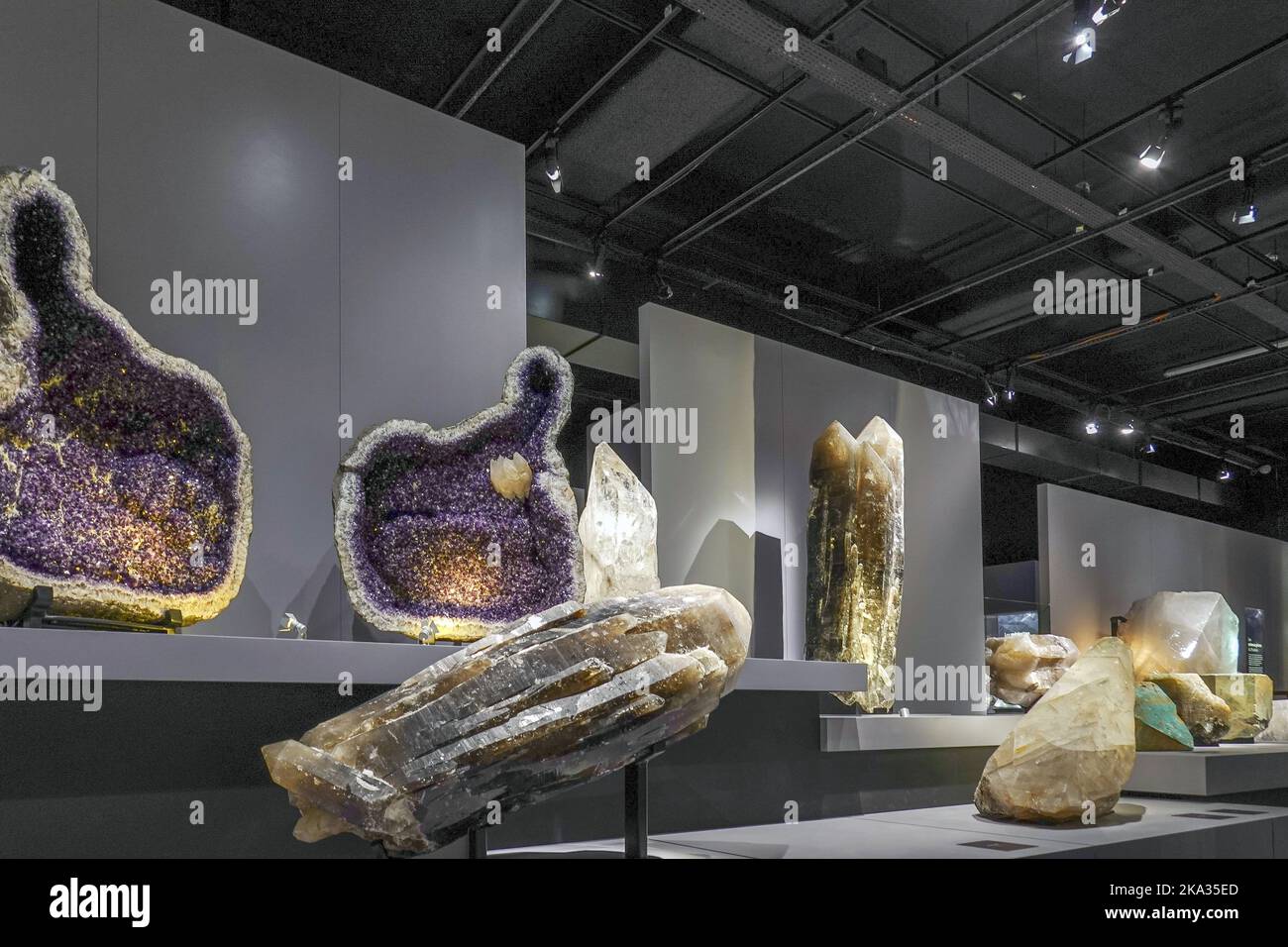 France, Paris, National Museum of Natural History, Gallery of ...