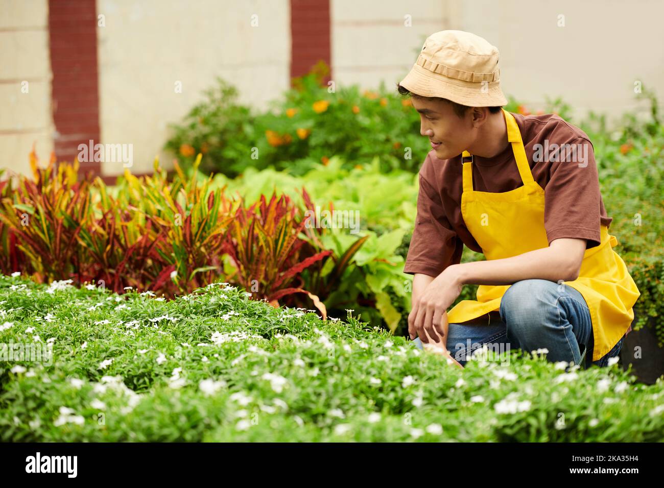 Pensive plants nursery owner looking at growing flowers Stock Photo - Alamy