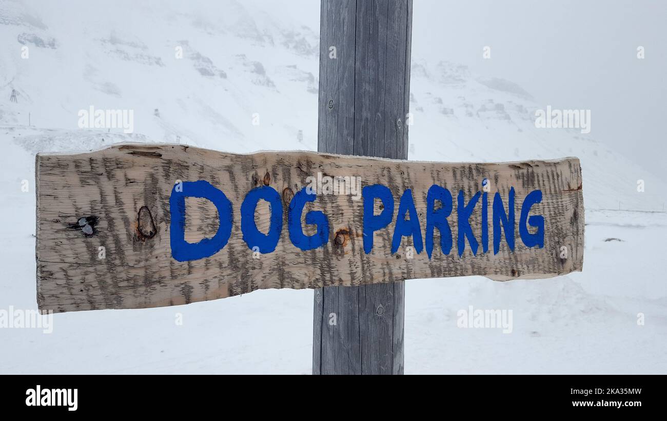 wooden dog parking road sign in winter landscape Stock Photo - Alamy