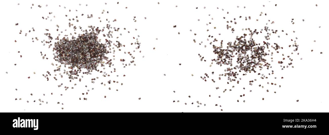 poppy seeds isolated on white background close up. Top view Stock Photo ...