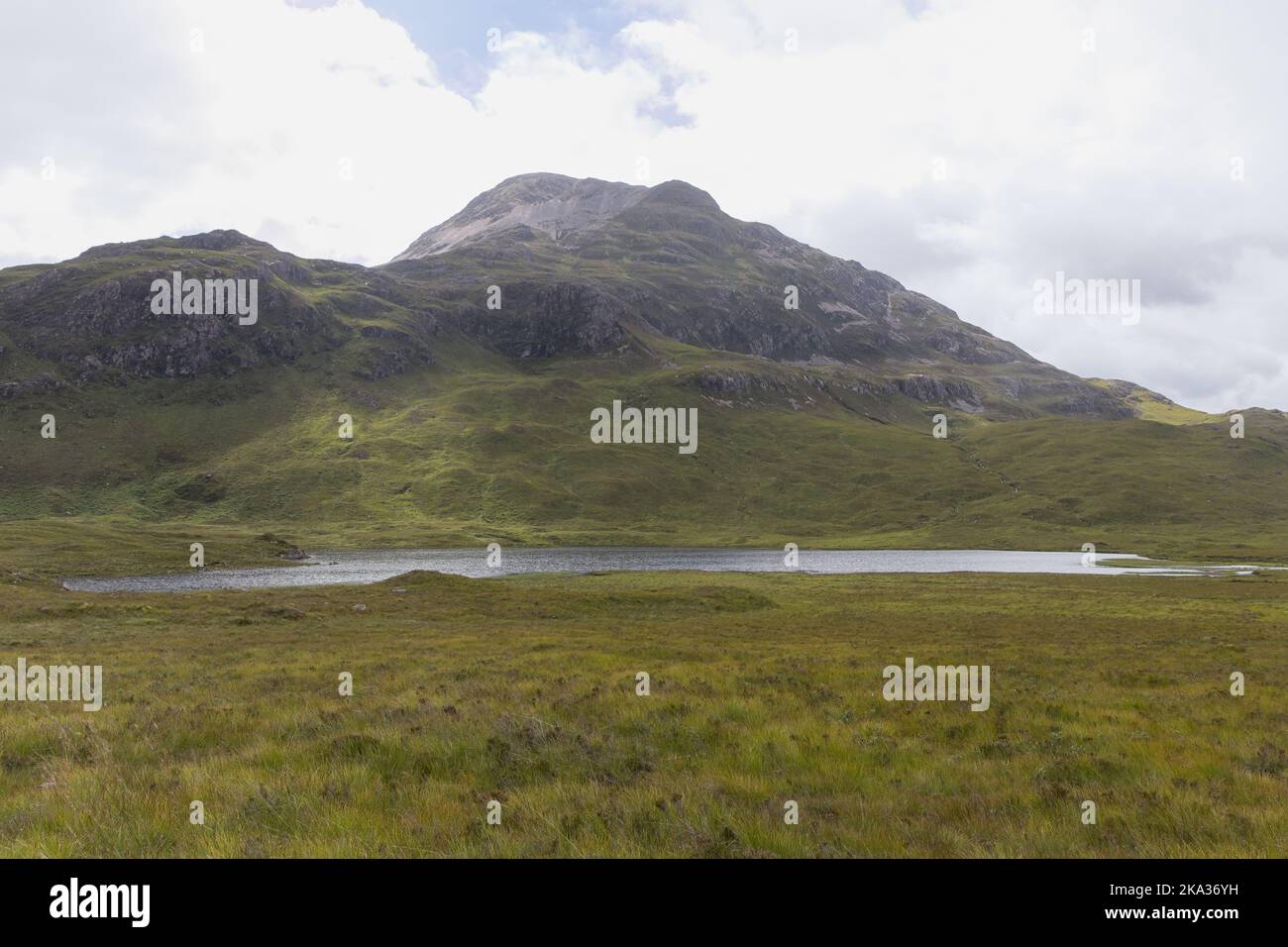 An aerial view of little lake surrounded by greenery fields and ...