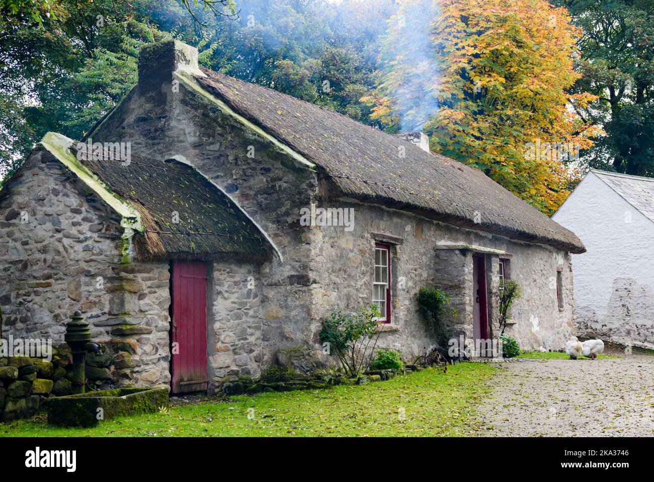 Small, three roomed, Irish thatched cottage, common among small farm ...
