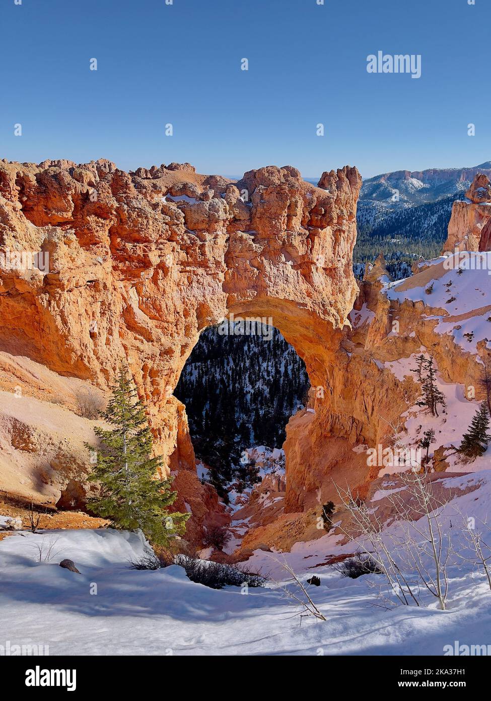 A naturally formed stone arch in Bryce Canyon National Park Stock Photo ...