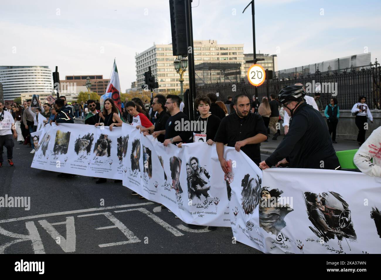 Protest Opposite Houses Of Parliament To Show Solidarity With The The