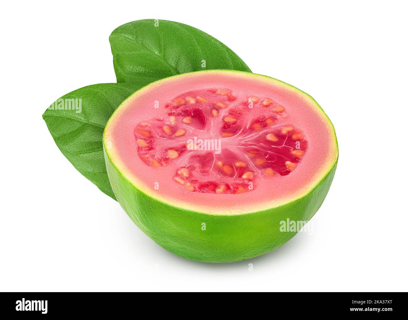 Guava fruit isolated on white background with full depth of field Stock ...