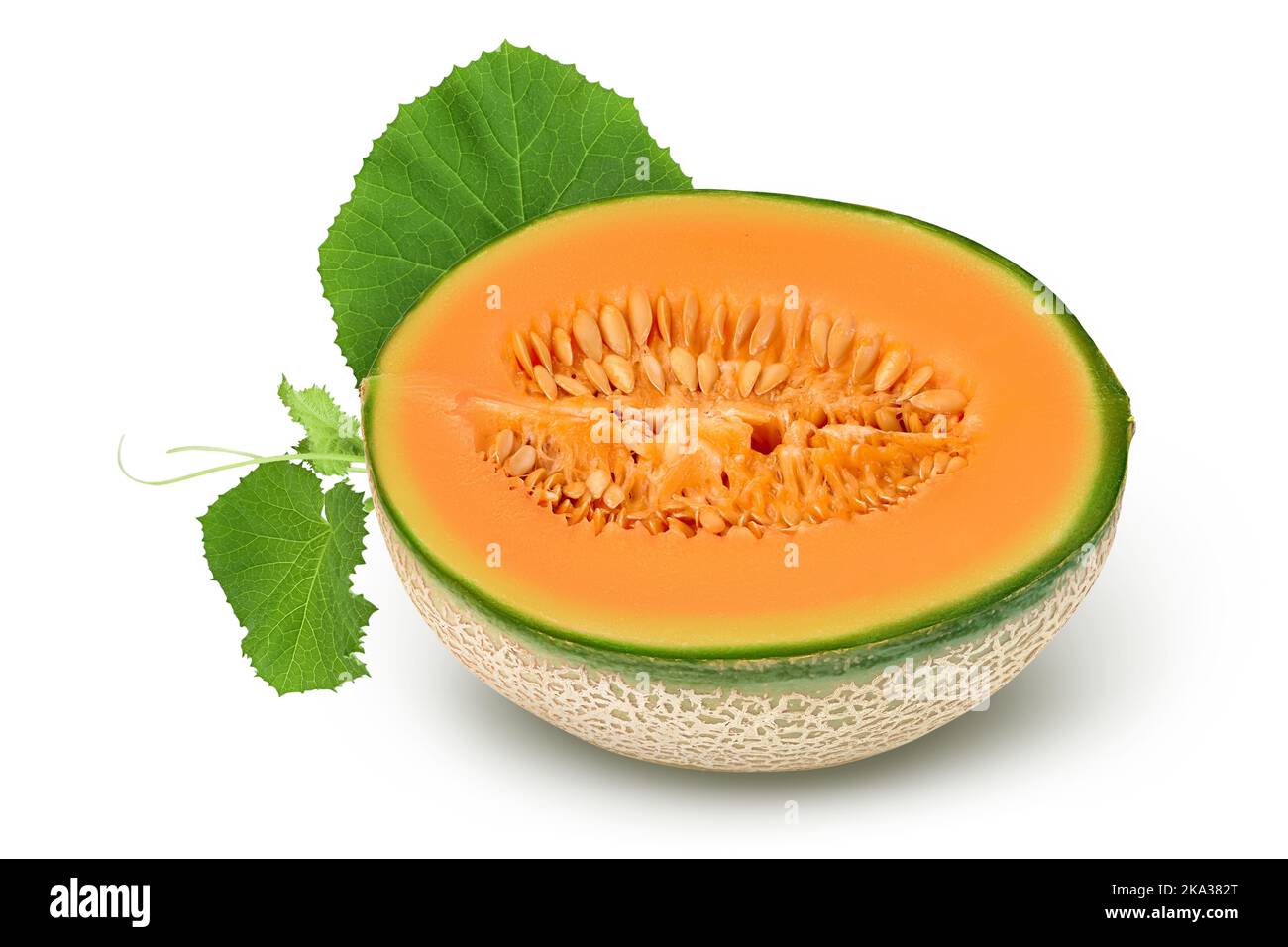 Cantaloupe melon half isolated on white background with full depth of ...