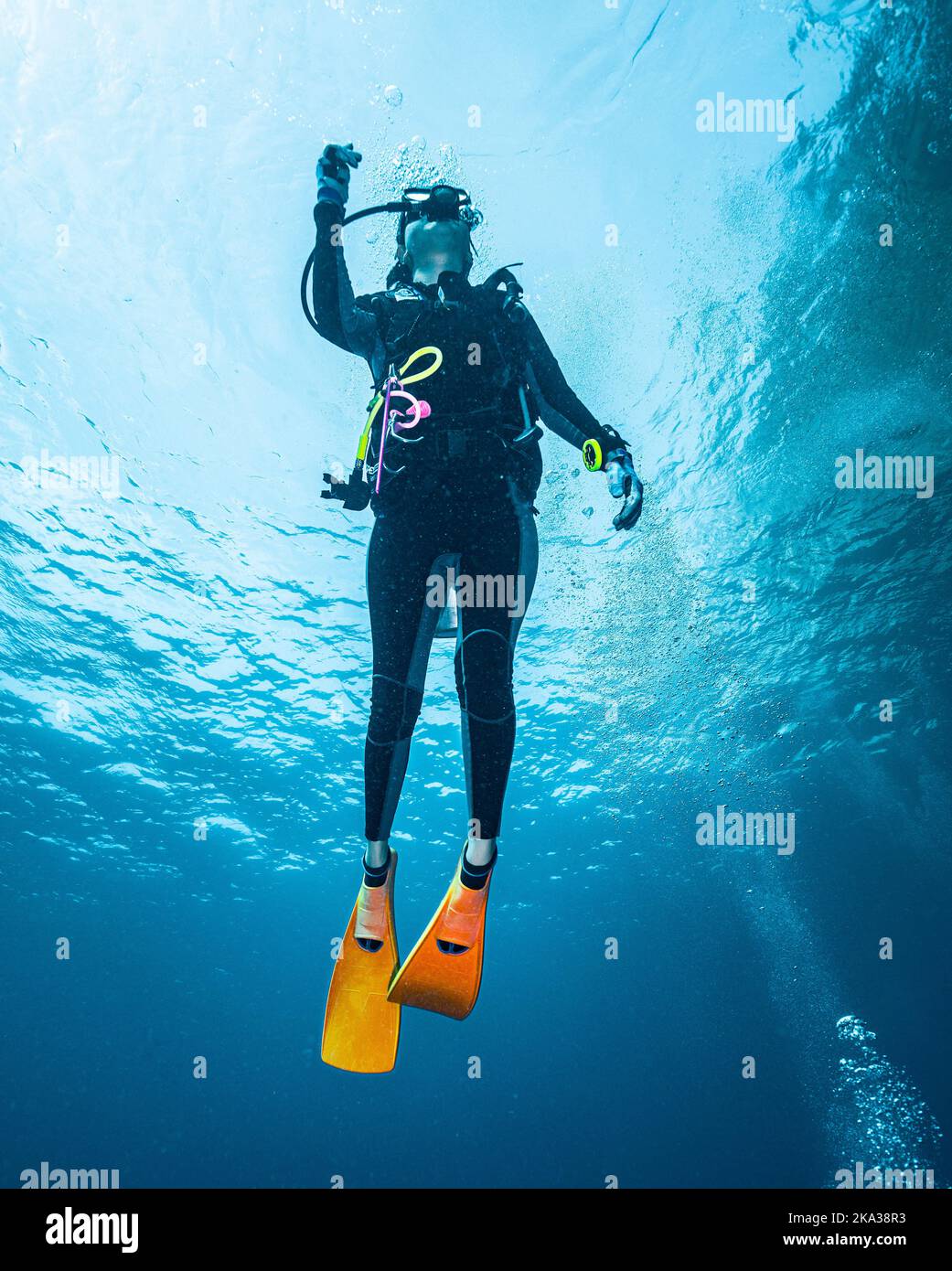diver ascending to the surface in the South Andaman Sea Stock Photo - Alamy