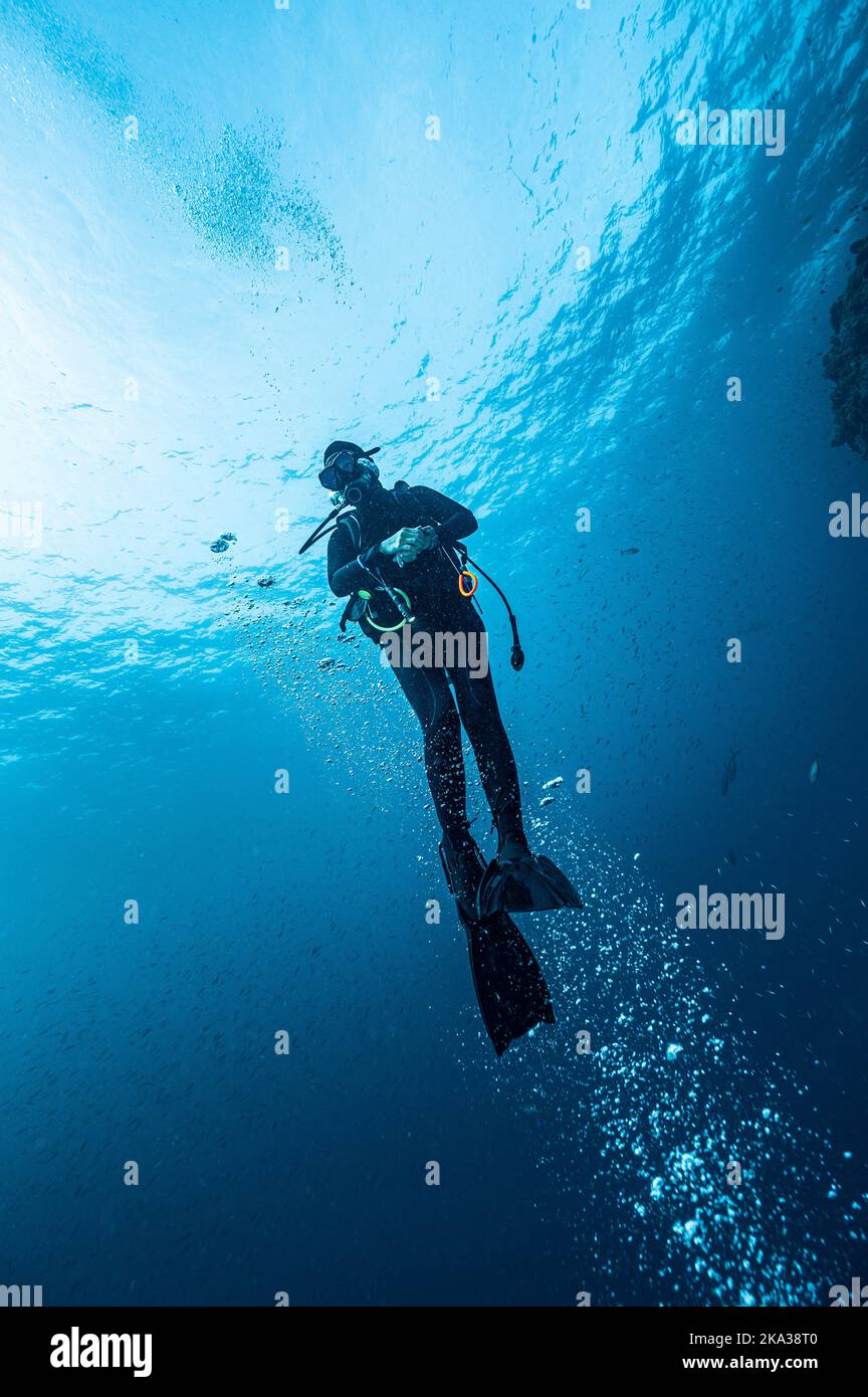 diver ascending to the surface in the South Andaman Sea Stock Photo - Alamy