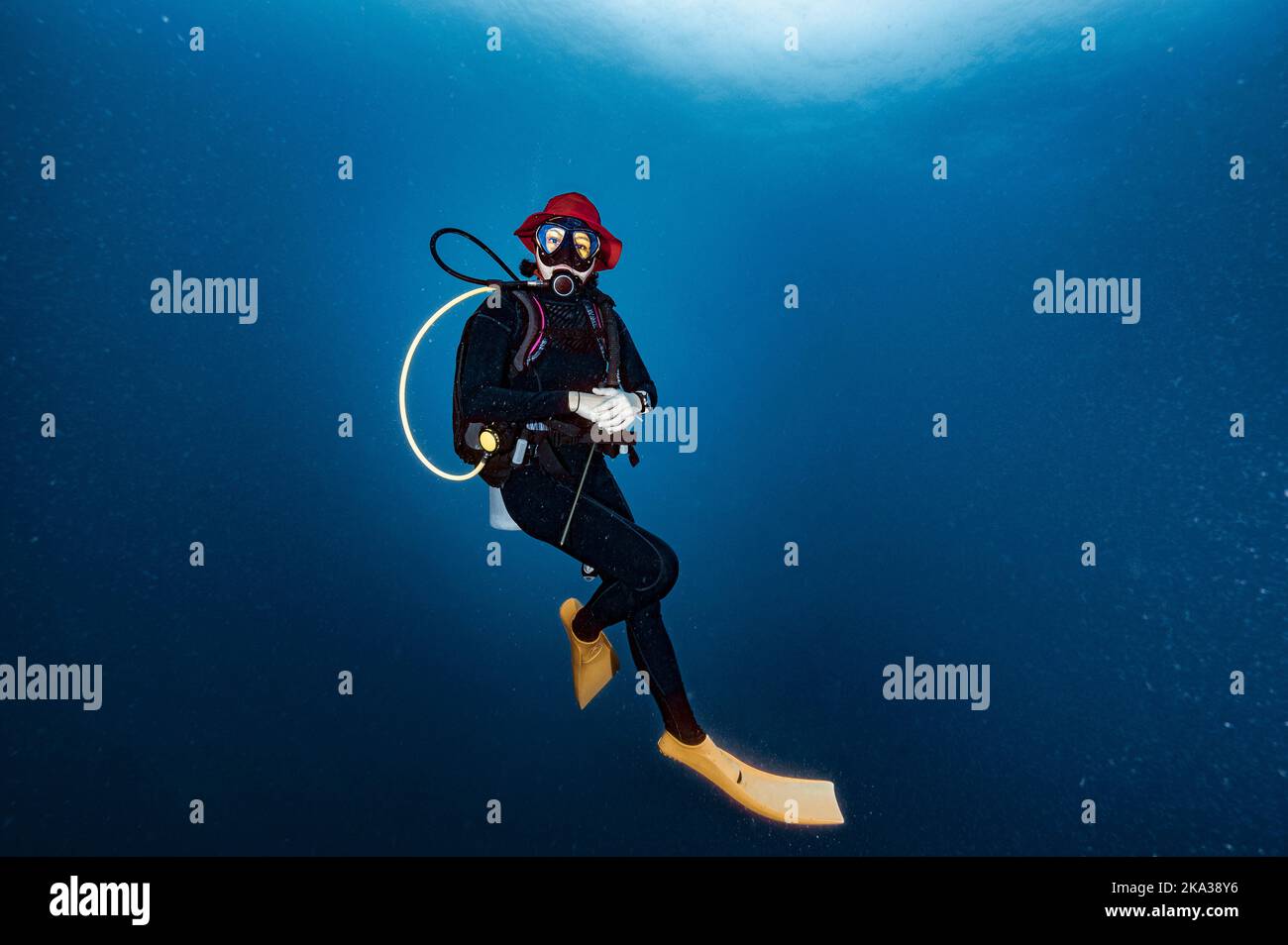 Diver floating at the gulf of Thailand close to Koh Tao Stock Photo - Alamy
