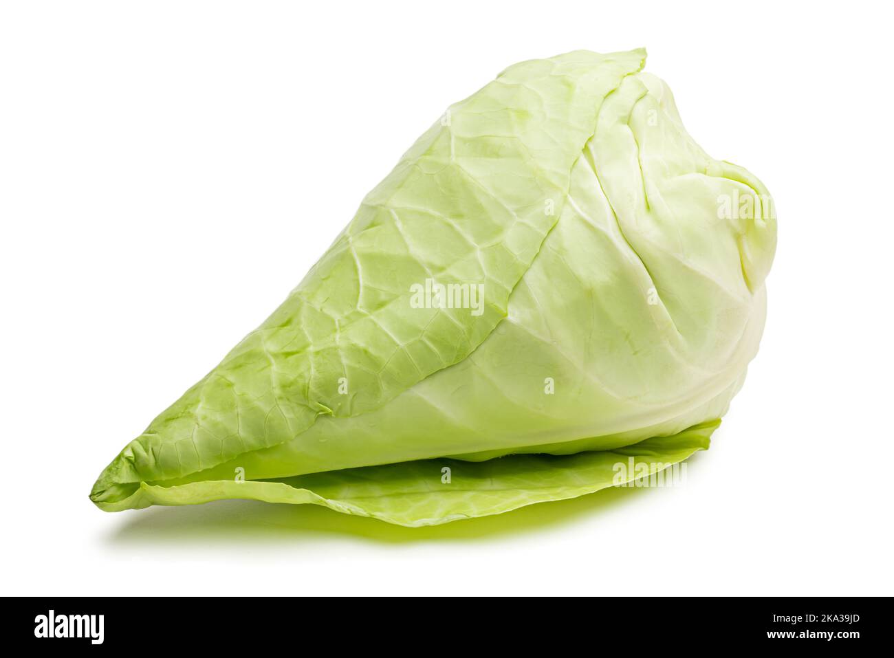 Pointed cabbage isolated against white Stock Photo - Alamy