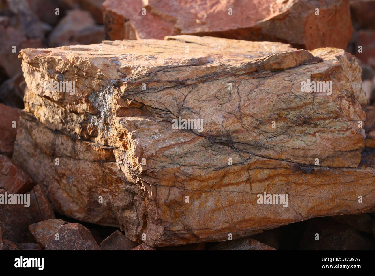 Press tour from The Agriculture, Fisheries and Conservation Department ...