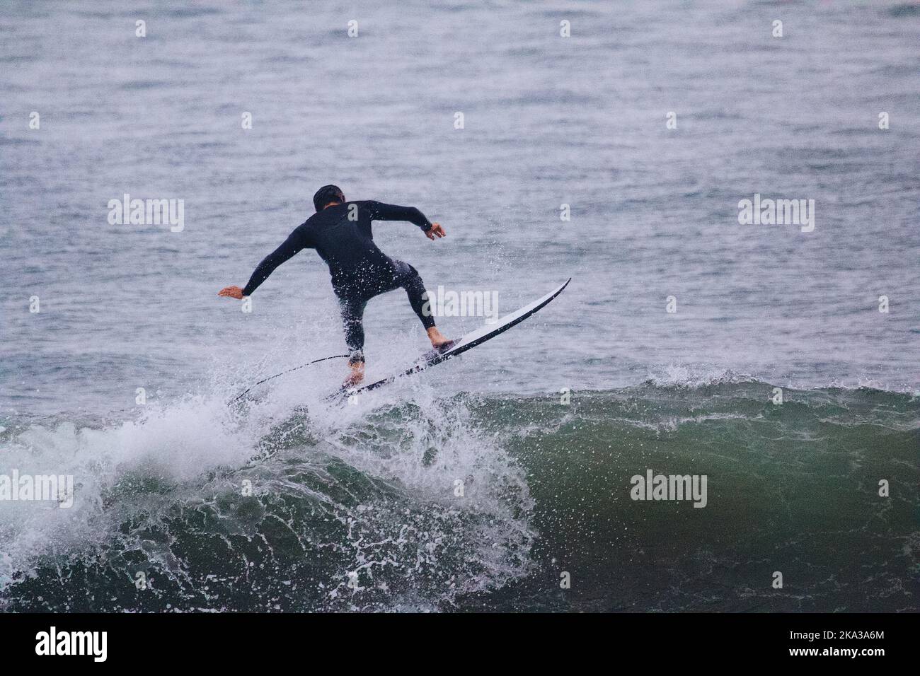 A male surfing in the wavy ocean Stock Photo - Alamy