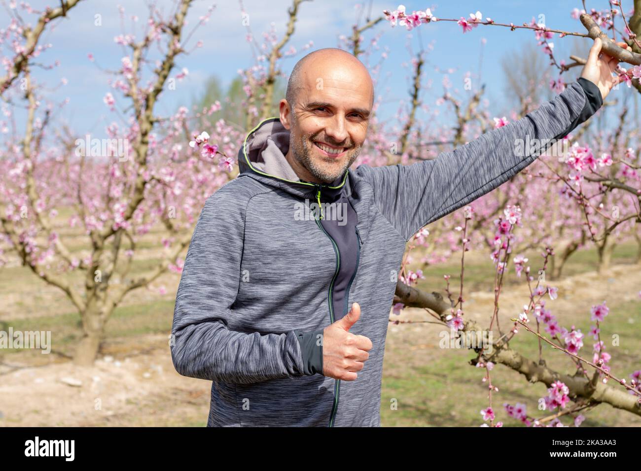 Happy man among peach trees in Aitona , Catalonia (Spain Stock Photo ...