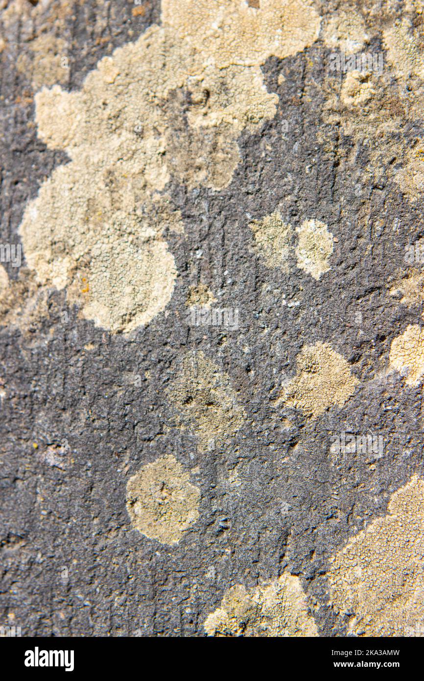 Rough stone texture, stone surfaces seamless texture Stock Photo - Alamy