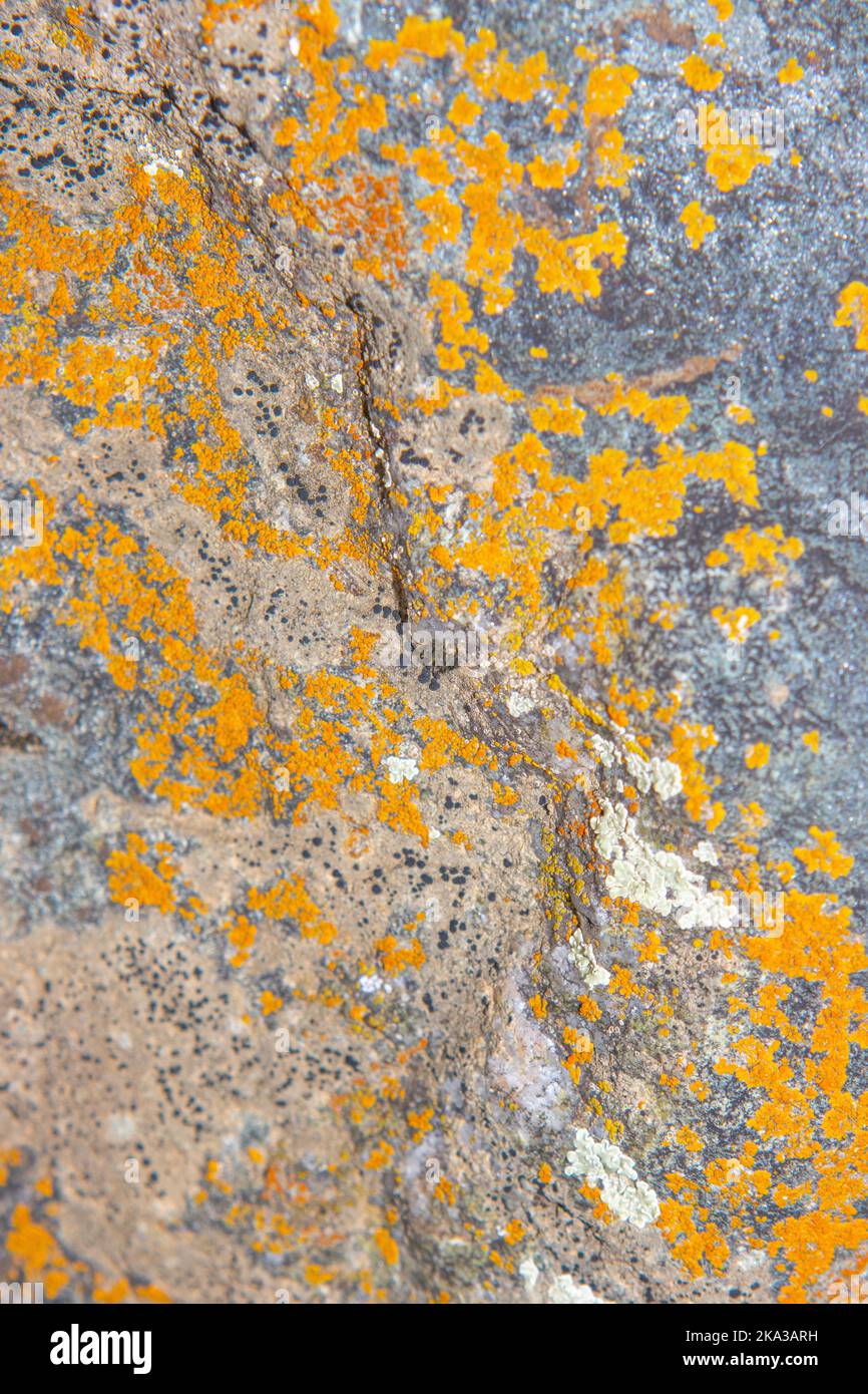 Rough stone texture, stone surfaces seamless texture Stock Photo - Alamy