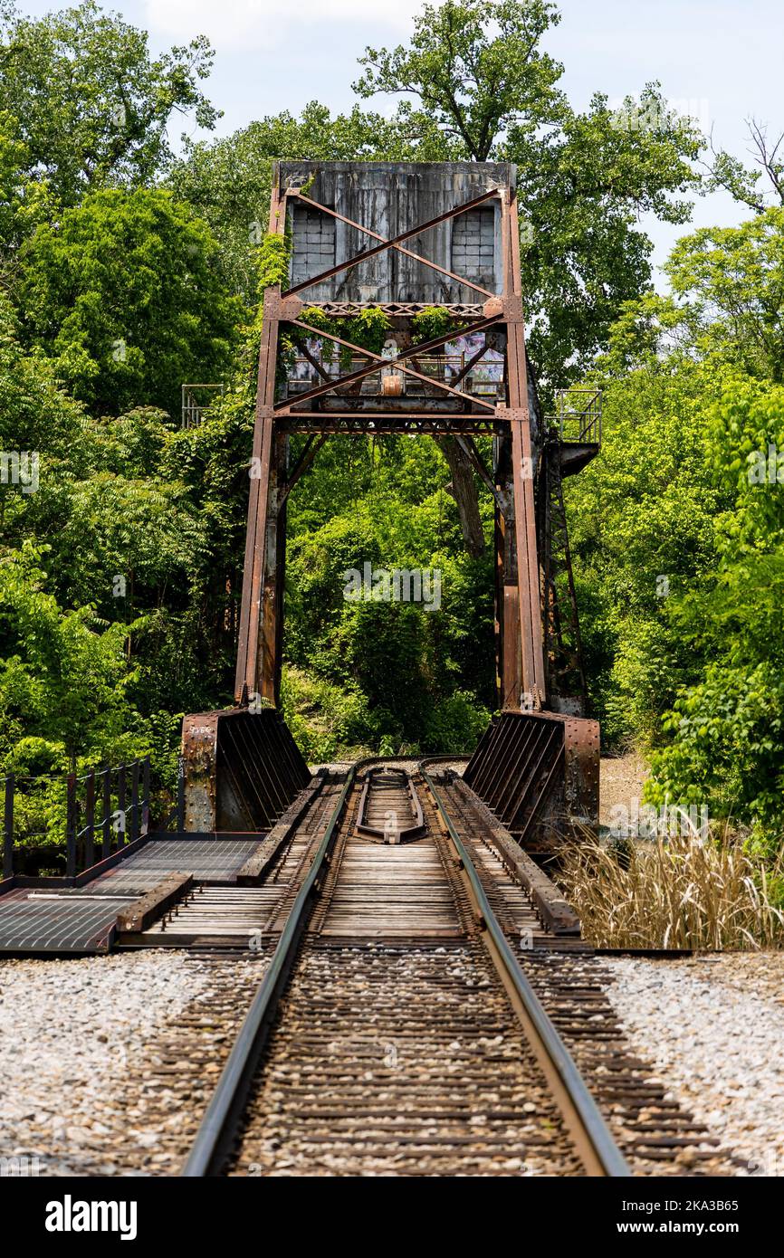 A vertical shot of a railroad constructed in the forest Stock Photo - Alamy