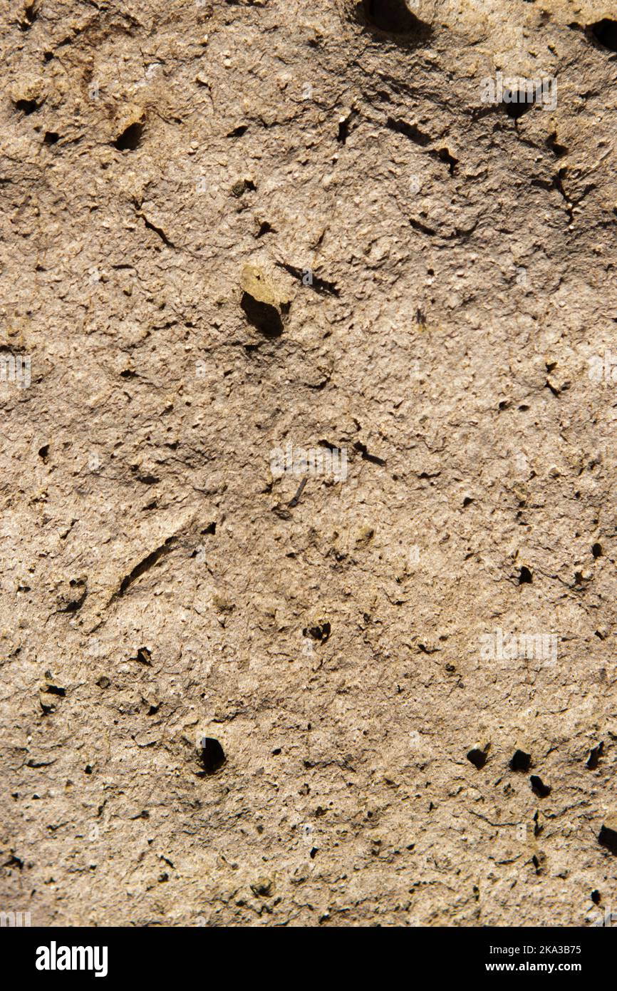 Texture Dried out puddle, dirty puddle Stock Photo - Alamy