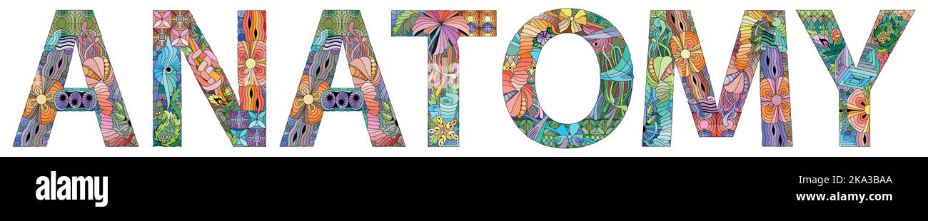 Hand-painted art design. Hand drawn illustration word ANATOMY for t ...