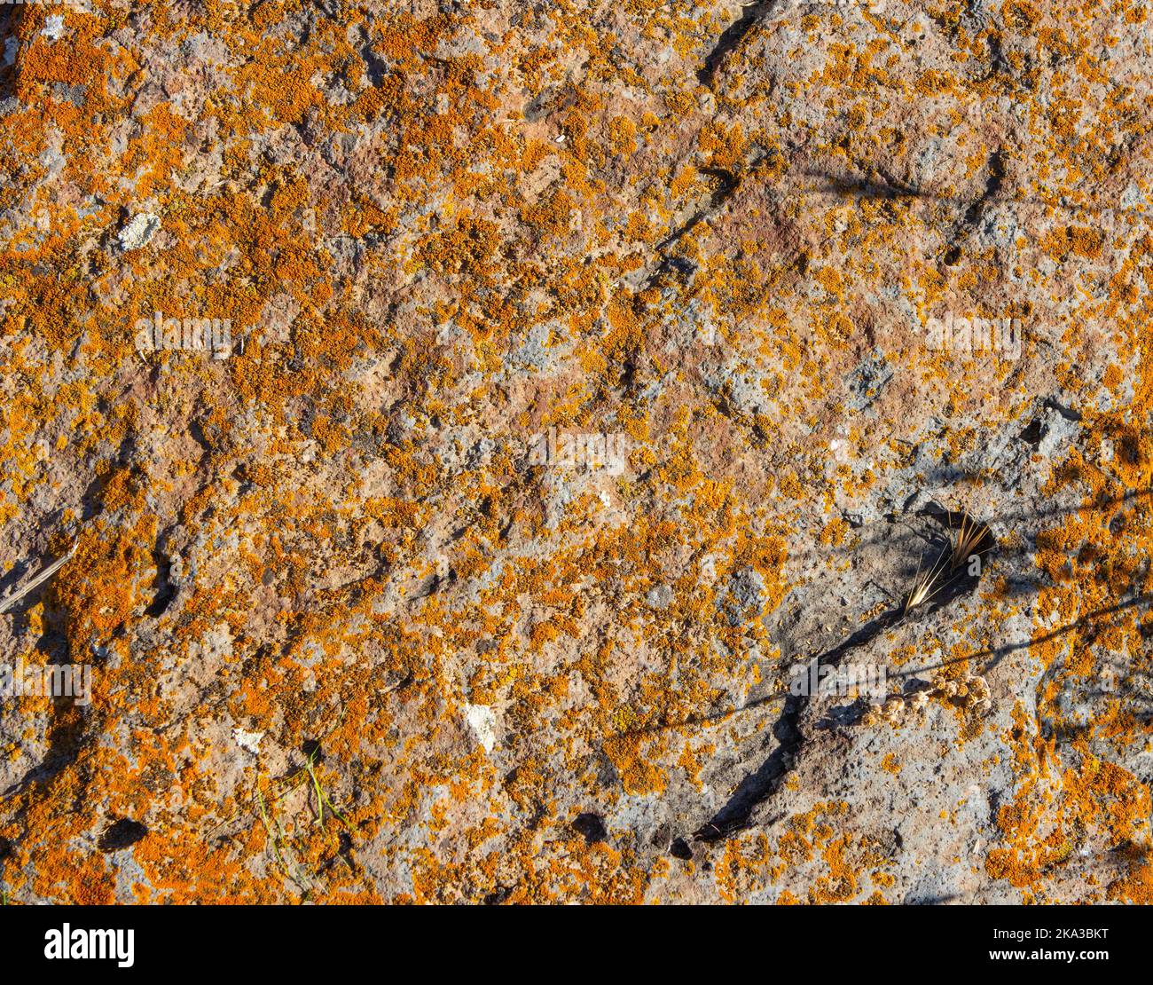 Rough stone texture, stone surfaces seamless texture Stock Photo - Alamy