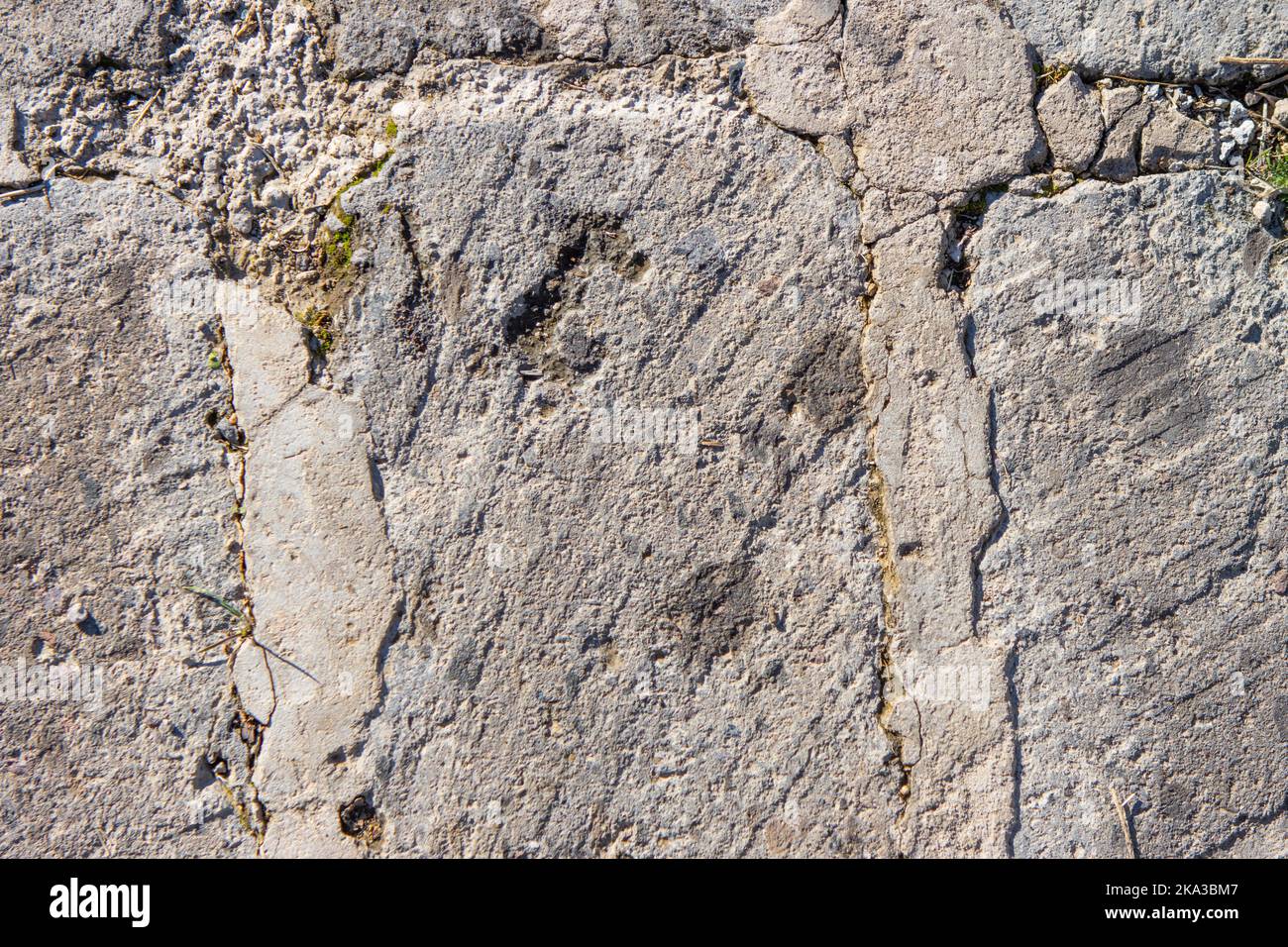 Rough stone texture, stone surfaces seamless texture Stock Photo - Alamy