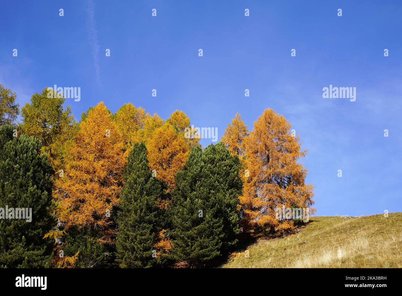 Hiking trail in South Tyrol in the Martell Valley Stock Photo - Alamy