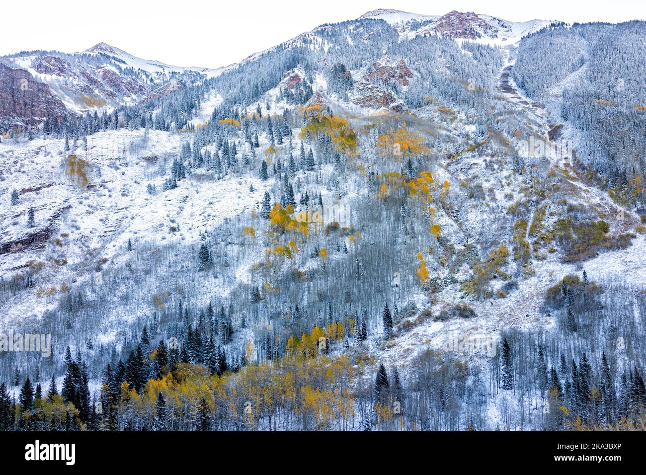 Maroon Bells Rocky Mountain ridge morning in fall autumn yellow foliage ...
