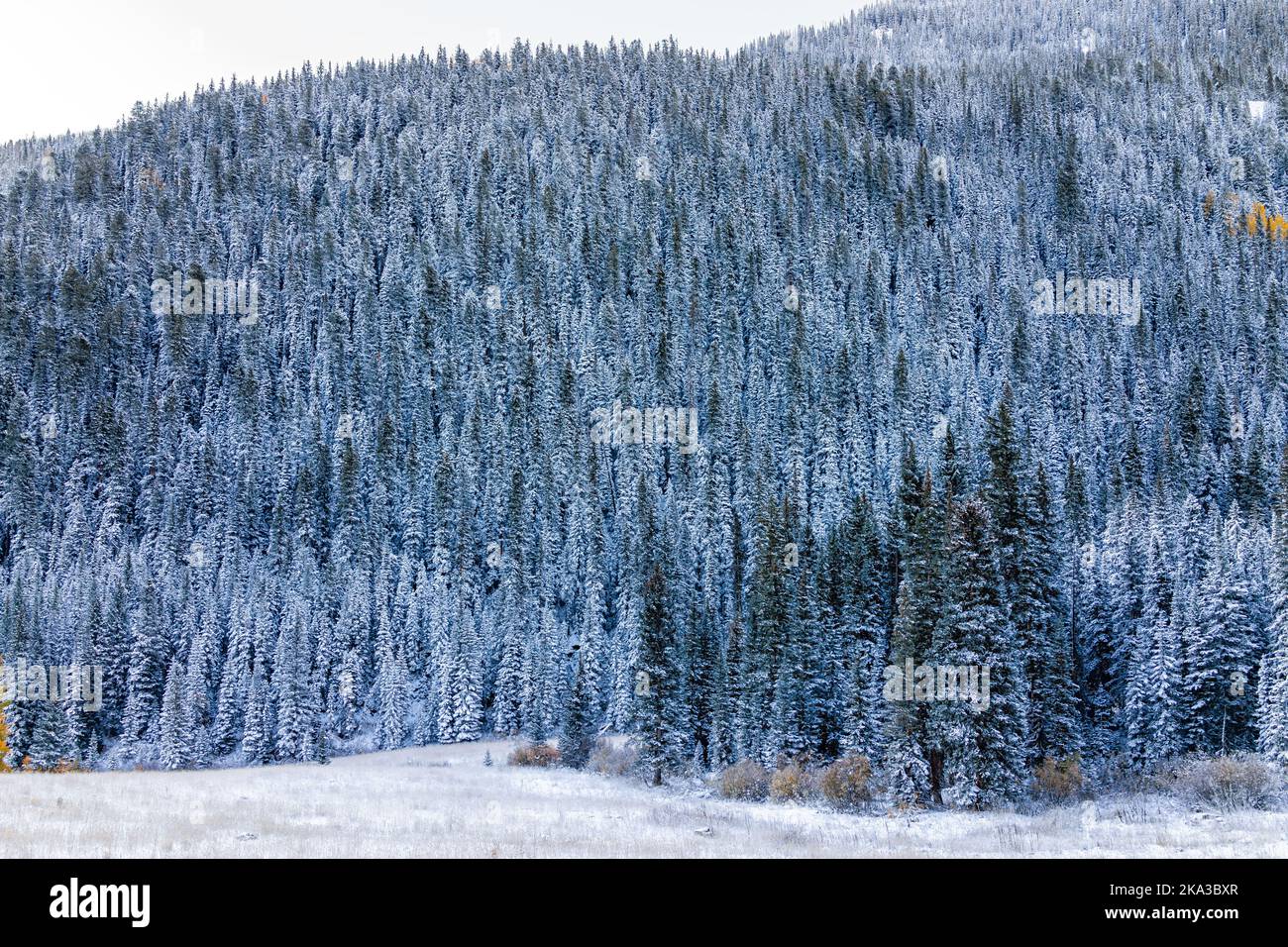 Maroon Bells mountain ridge peak in Aspen, Colorado morning and pattern ...
