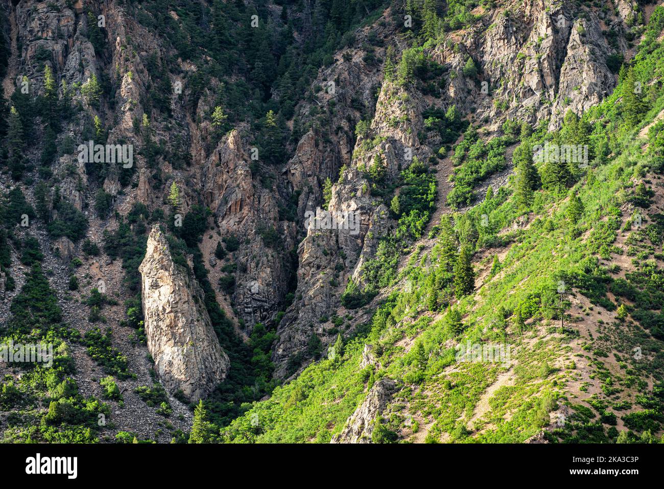 Redstone national forest park hi-res stock photography and images - Alamy