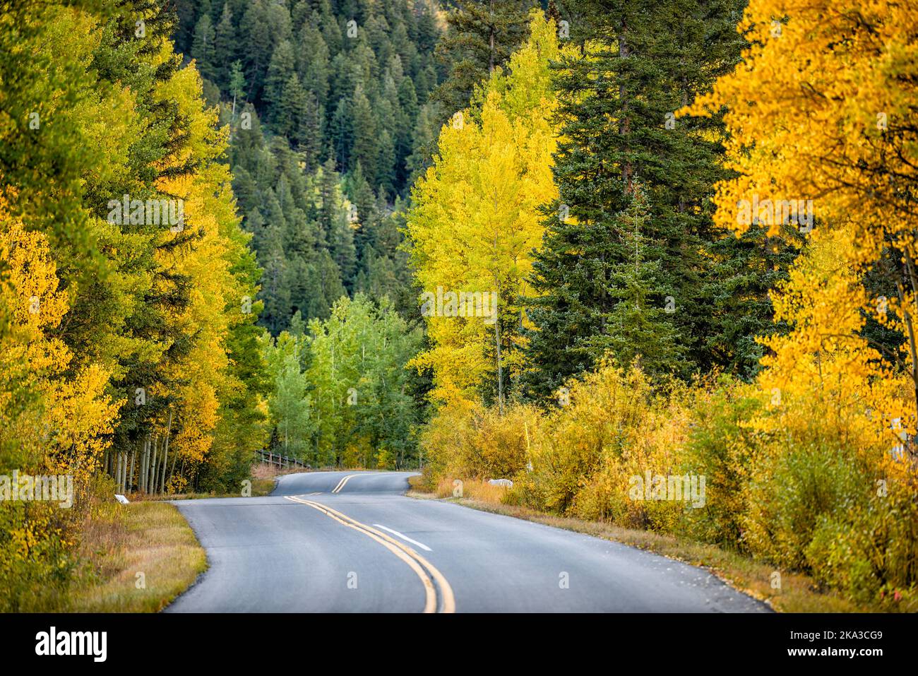 Car driving point of view driving car at Colorado Rocky mountains road ...