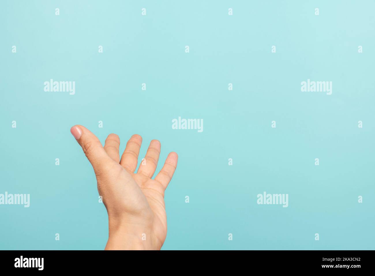 Woman hand open palm up gesture. Female hand taking, giving, showing ...