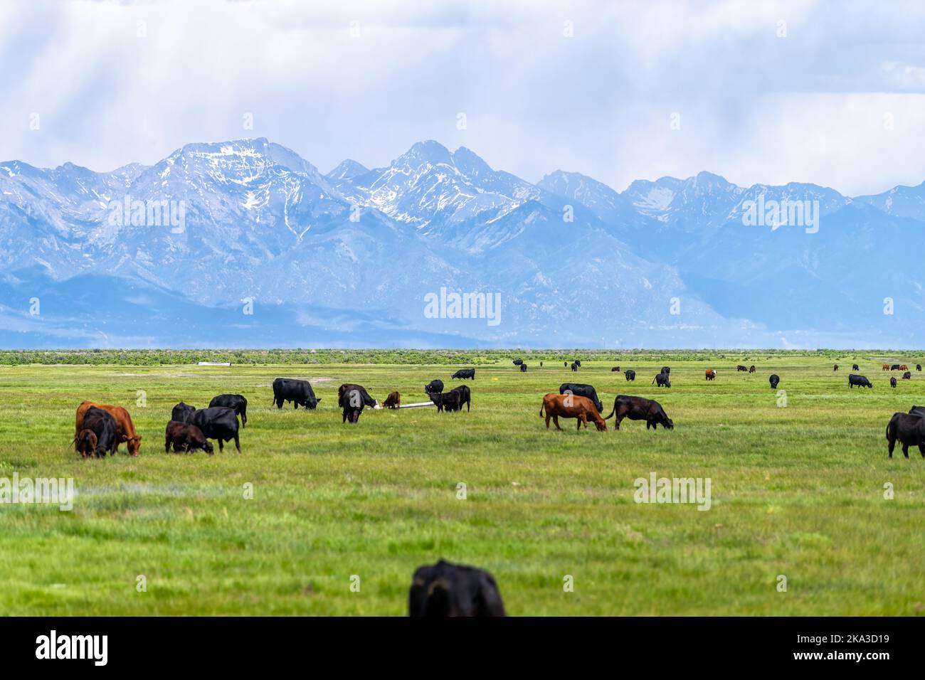 Colorado farm view hi-res stock photography and images - Alamy