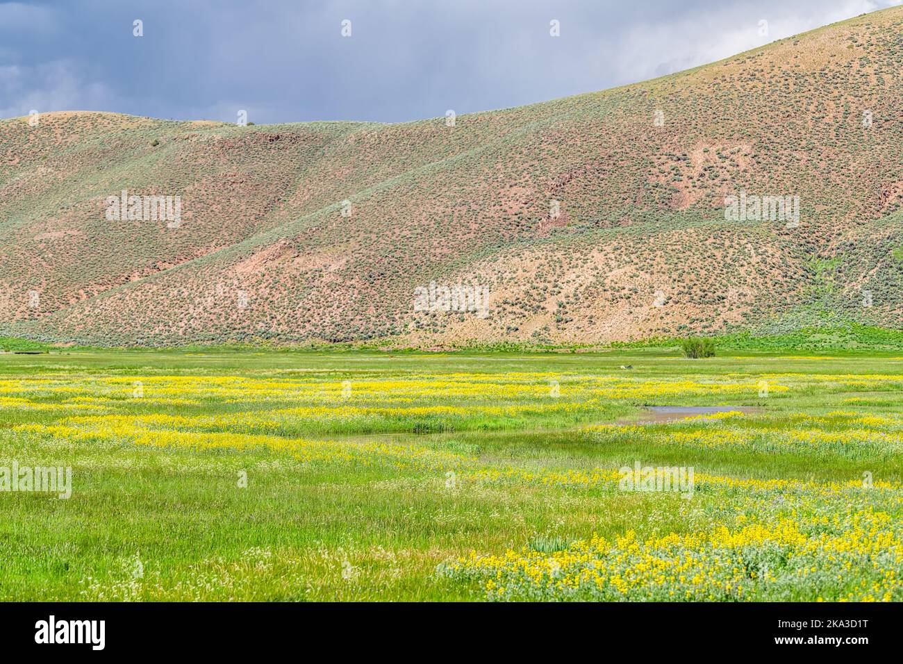 Cochetopa pass colorado hi-res stock photography and images - Alamy