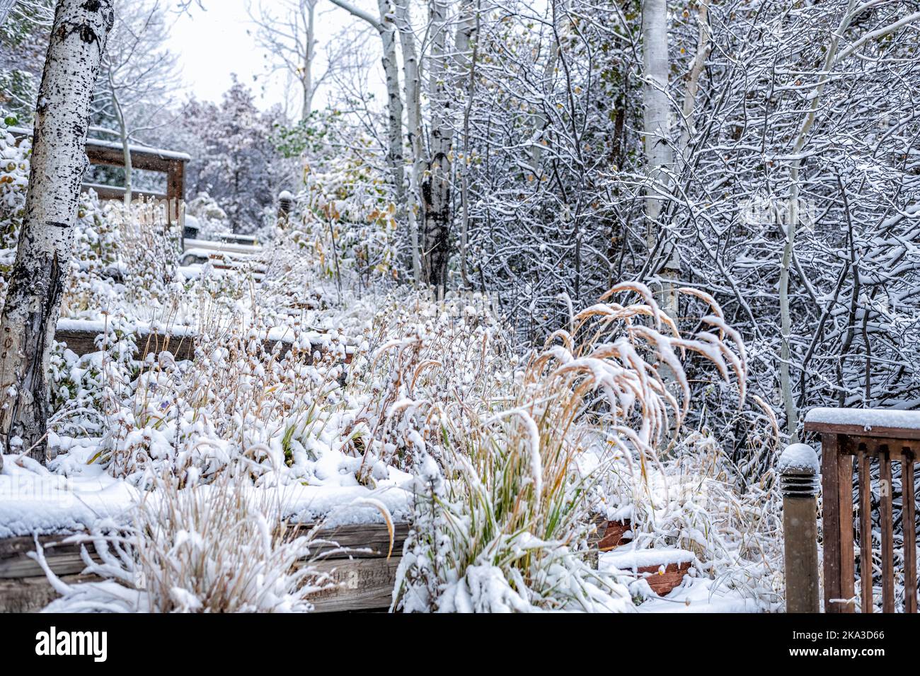 Aspen Colorado steps landscaping covered in winter snow terraced along ...